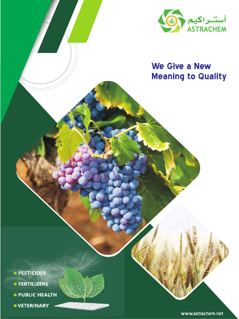 Astrachem 2023 Catalogue Exp Opt | PDF