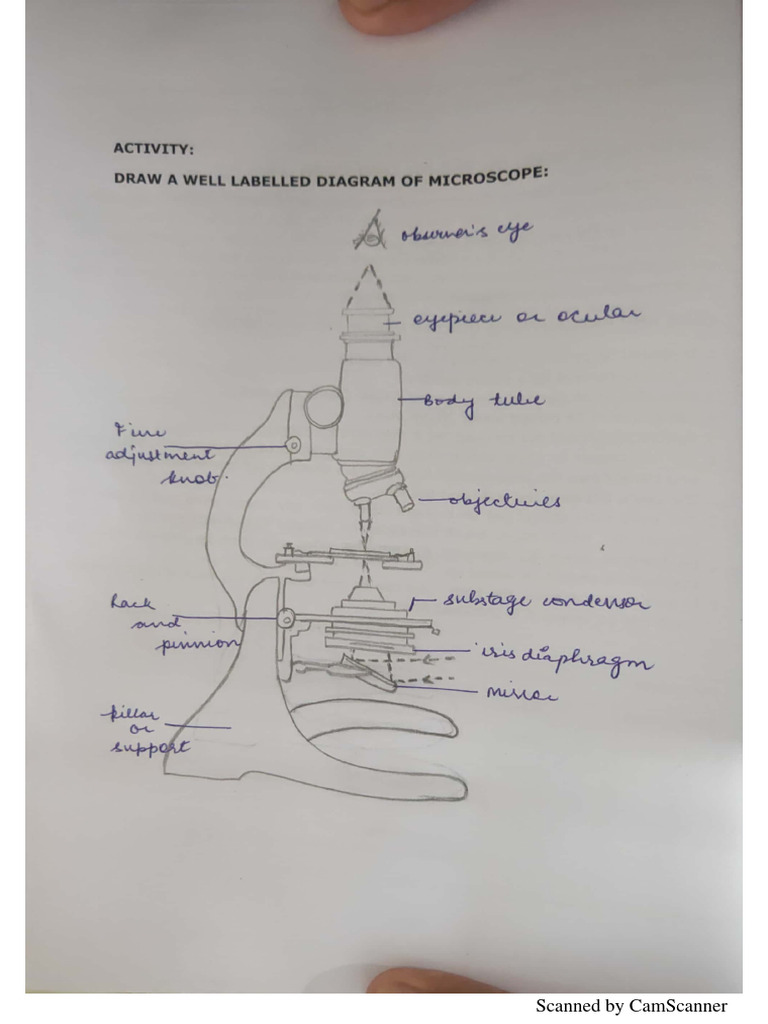 Physiology Practical | PDF