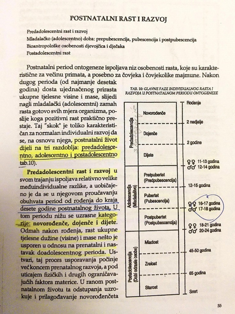 Postnatalni Rast I Razvoj | PDF