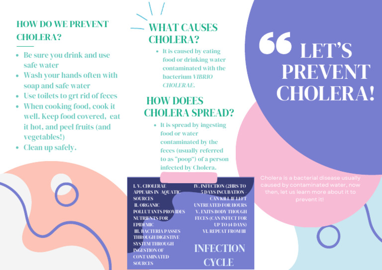 8H Dolojan - Health Brochure | PDF | Cholera | Infection