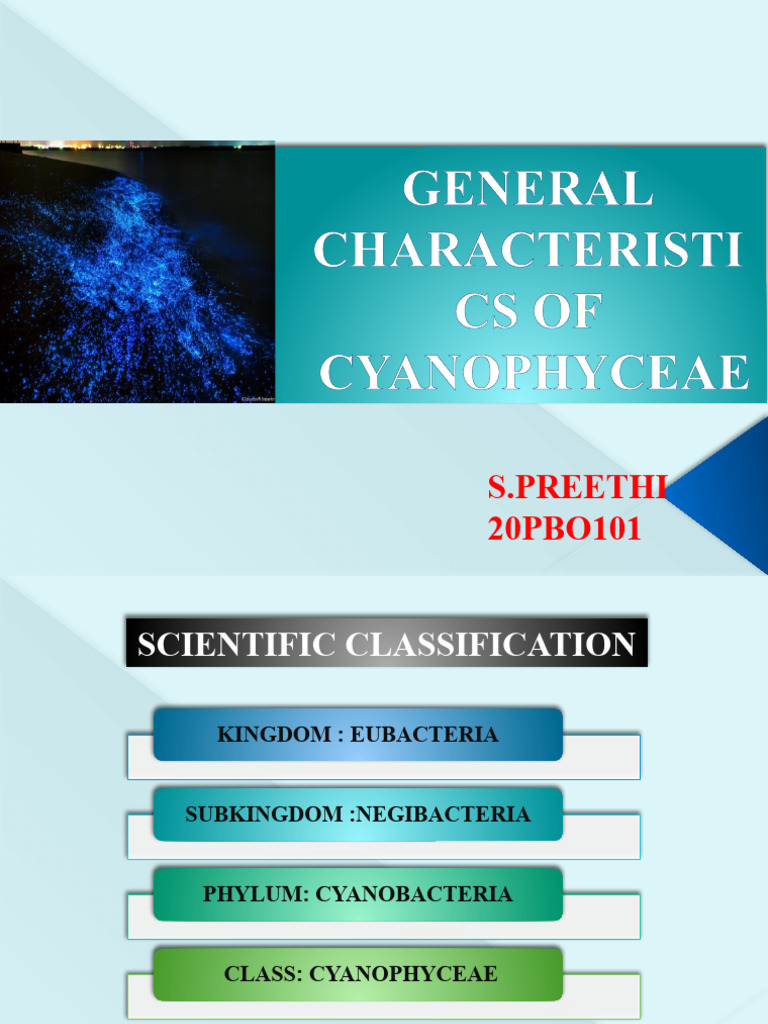 GENERAL CHARACTERISTICS OF CYANOPHYCEAE | PDF | Cyanobacteria | Cell (Biology)