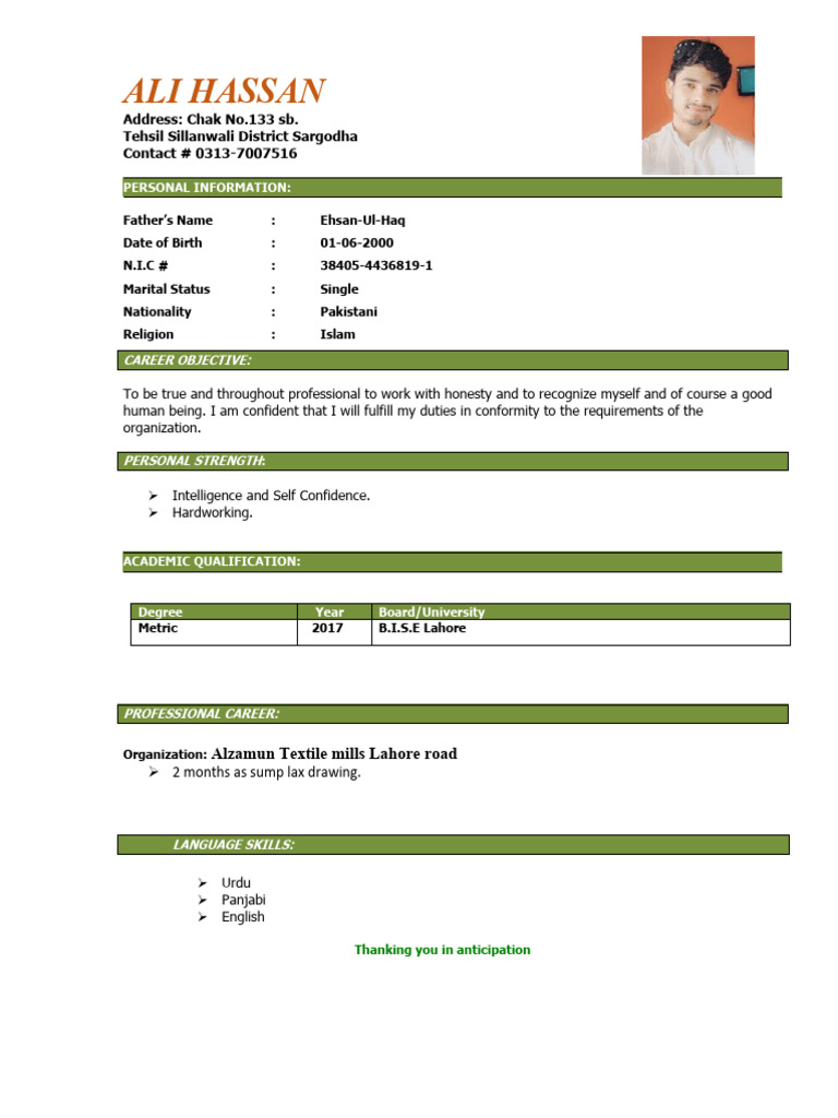 Ali Hassan CV | PDF