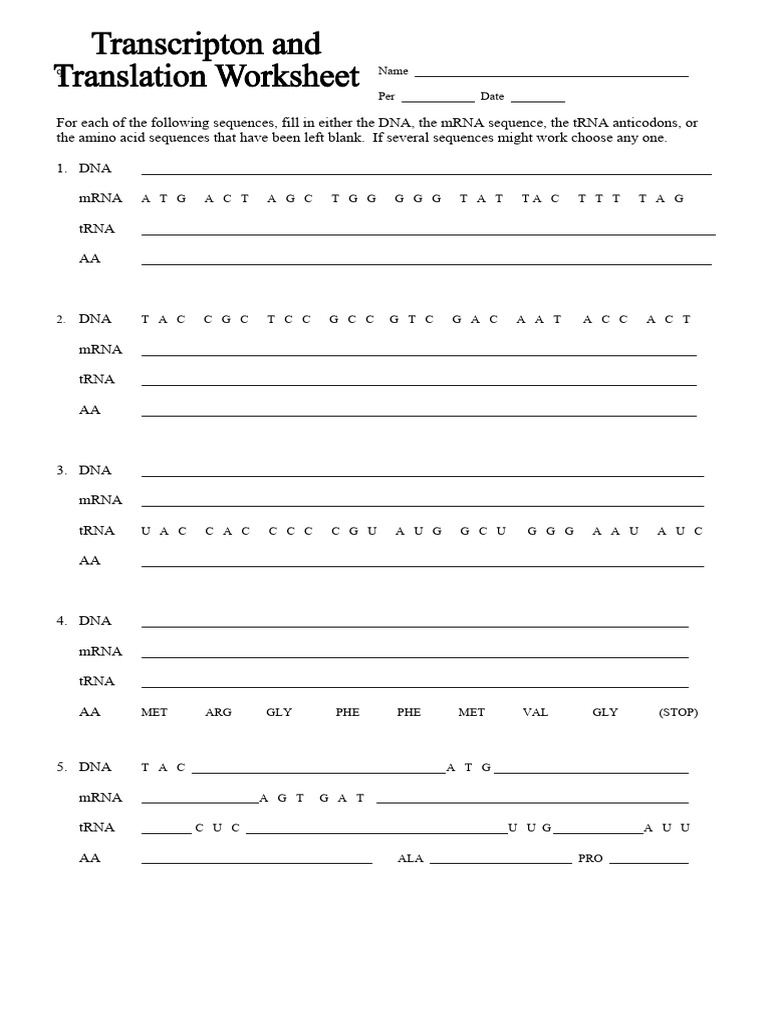 Transcription and Translation Practice - 1 | PDF