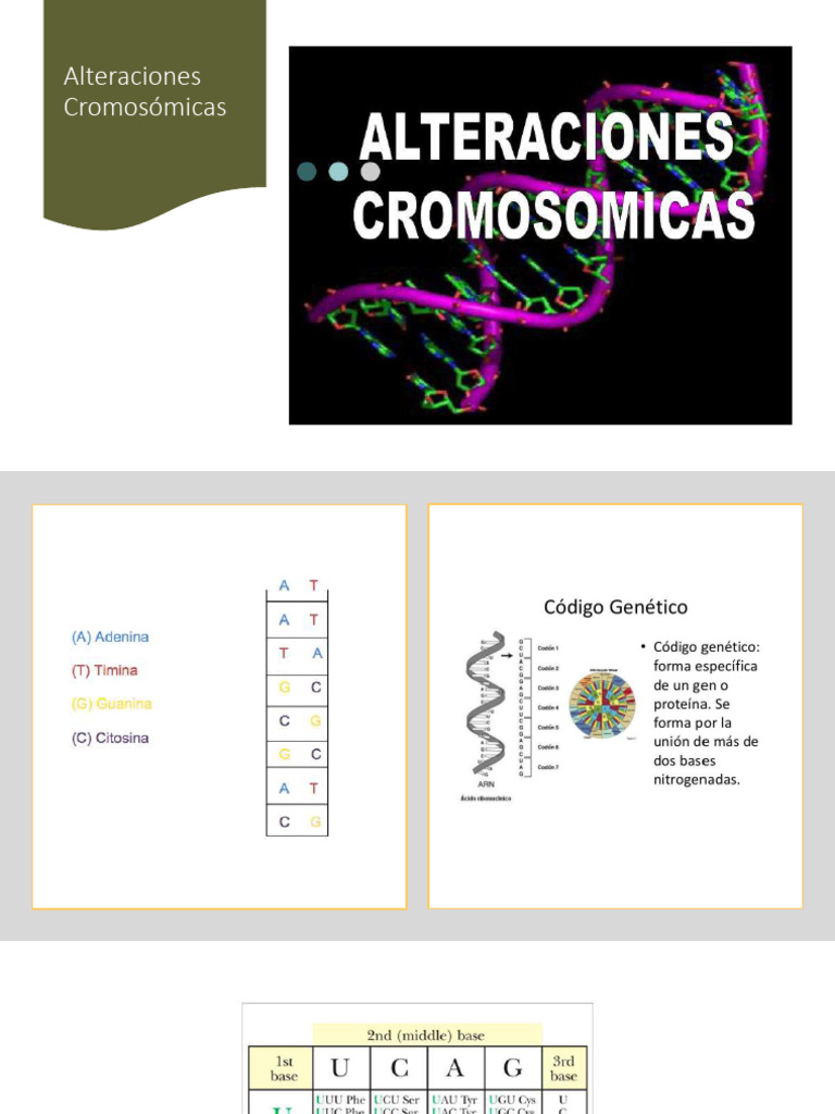 Alteraciones Cromosomicas_Introducción_2021_Histología | PDF