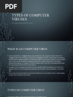 Types of Computer Viruses Tutorial | PDF
