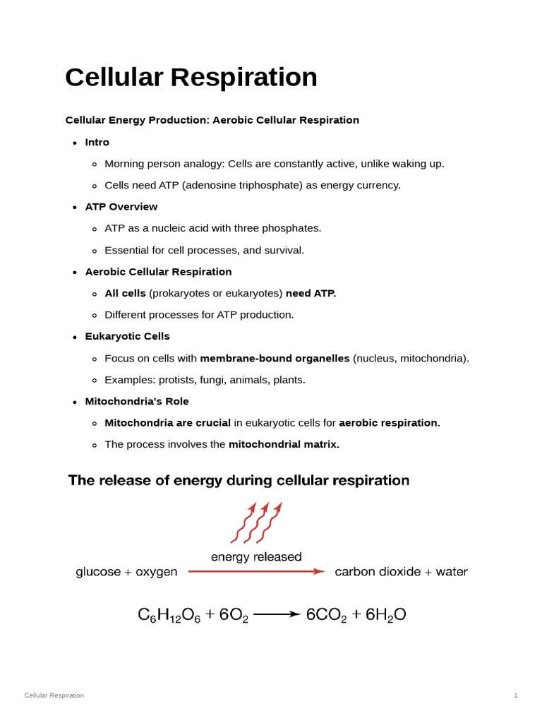 Cellular Respiration | PDF | Cellular Respiration | Adenosine Triphosphate