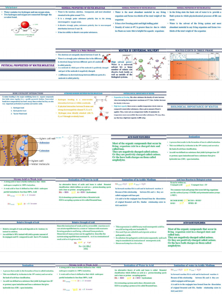BBC Compressed | PDF