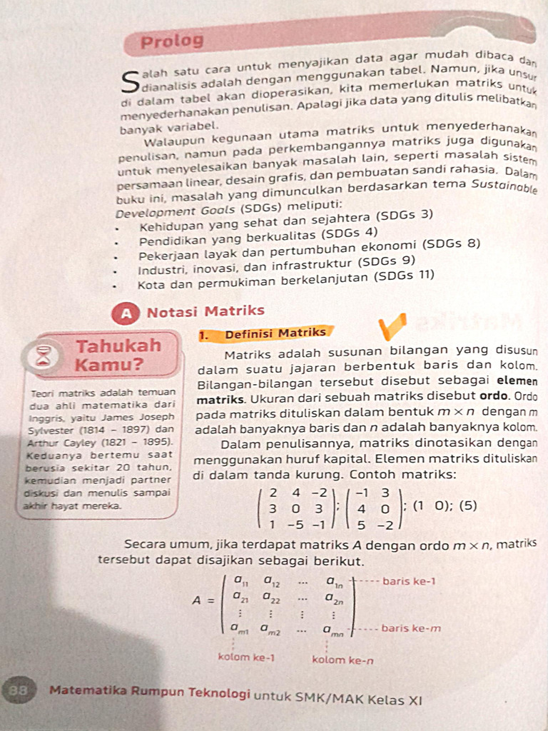 Definisi Dan Jenis Matriks | PDF