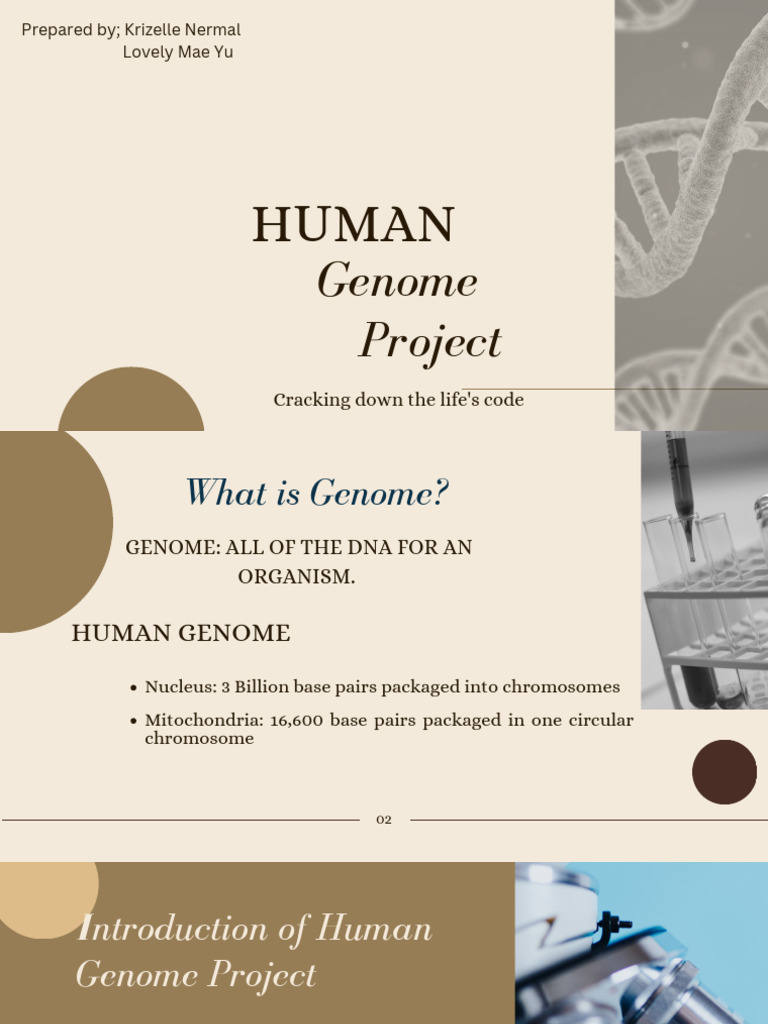 Human Genome Project | PDF | Cloning | Stem Cell