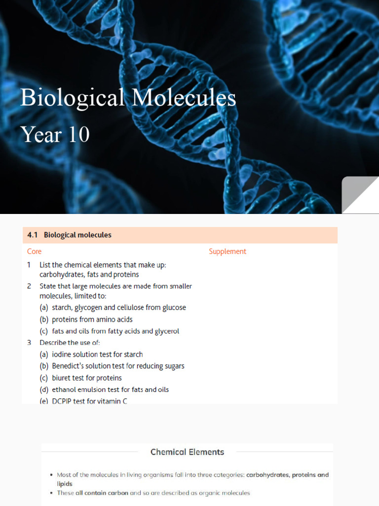 Biological Molecules | PDF