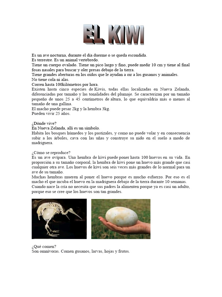 El Kiwi | PDF