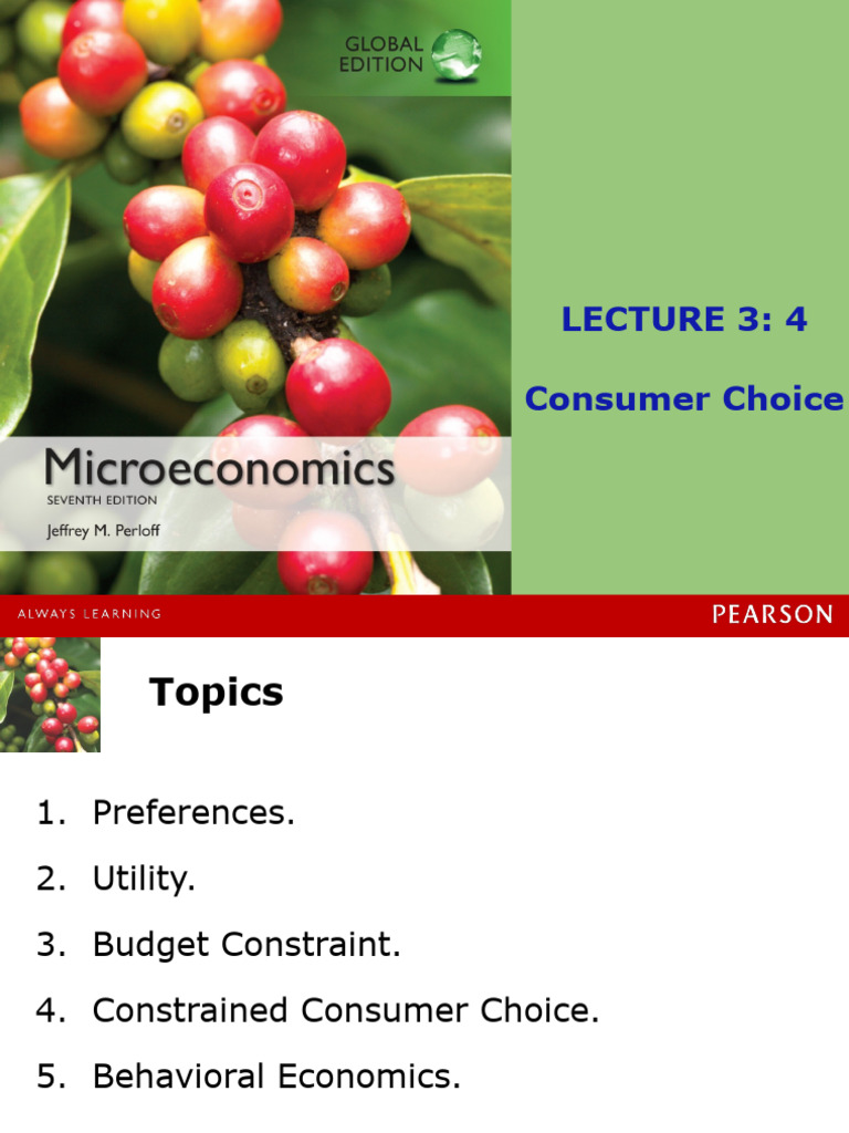 Lecture 4 - Consumer Choice | PDF | Utility | Marketing