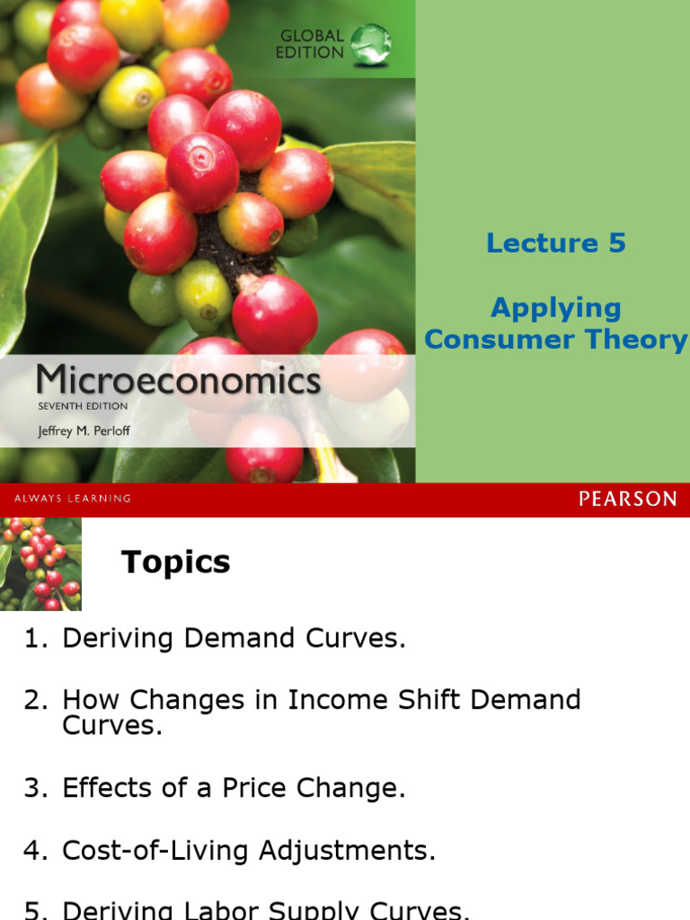 Lecture 5 - Application of Consumer Choice | PDF