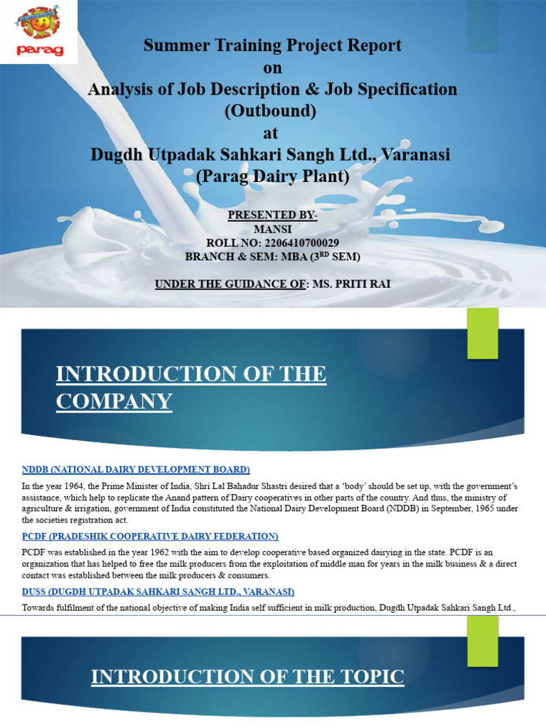 Mansi PPT STP | PDF | Methodology | Economies