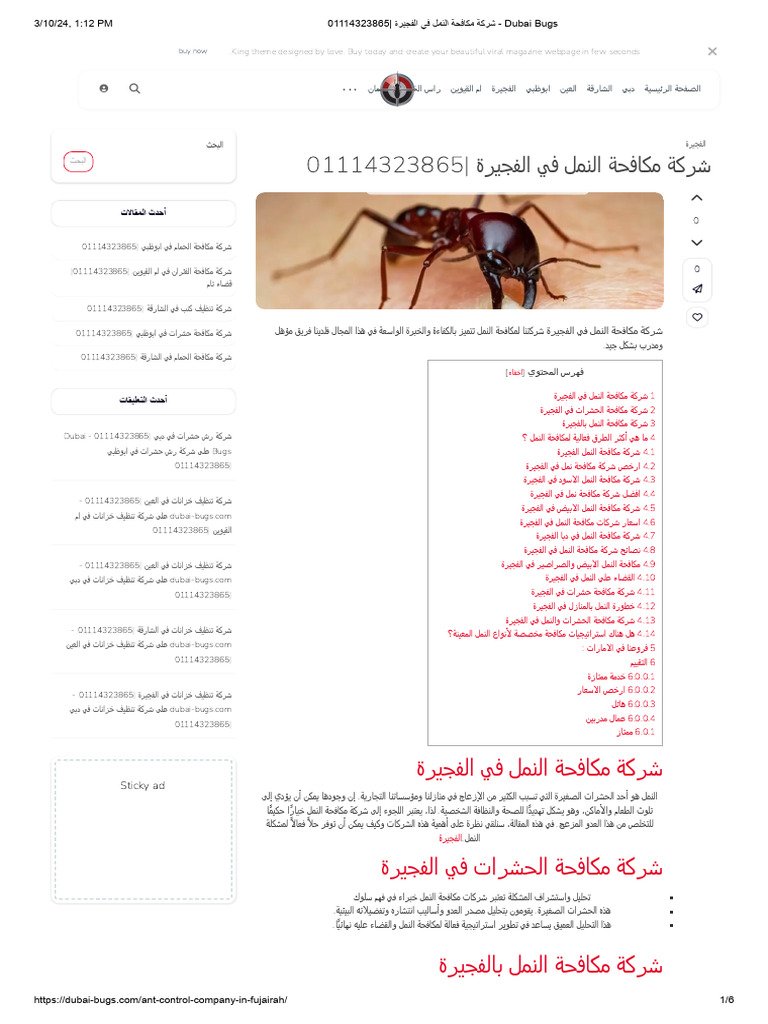 شركة مكافحة النمل في الفجيرة - 01114323865 - Dubai Bugs | PDF