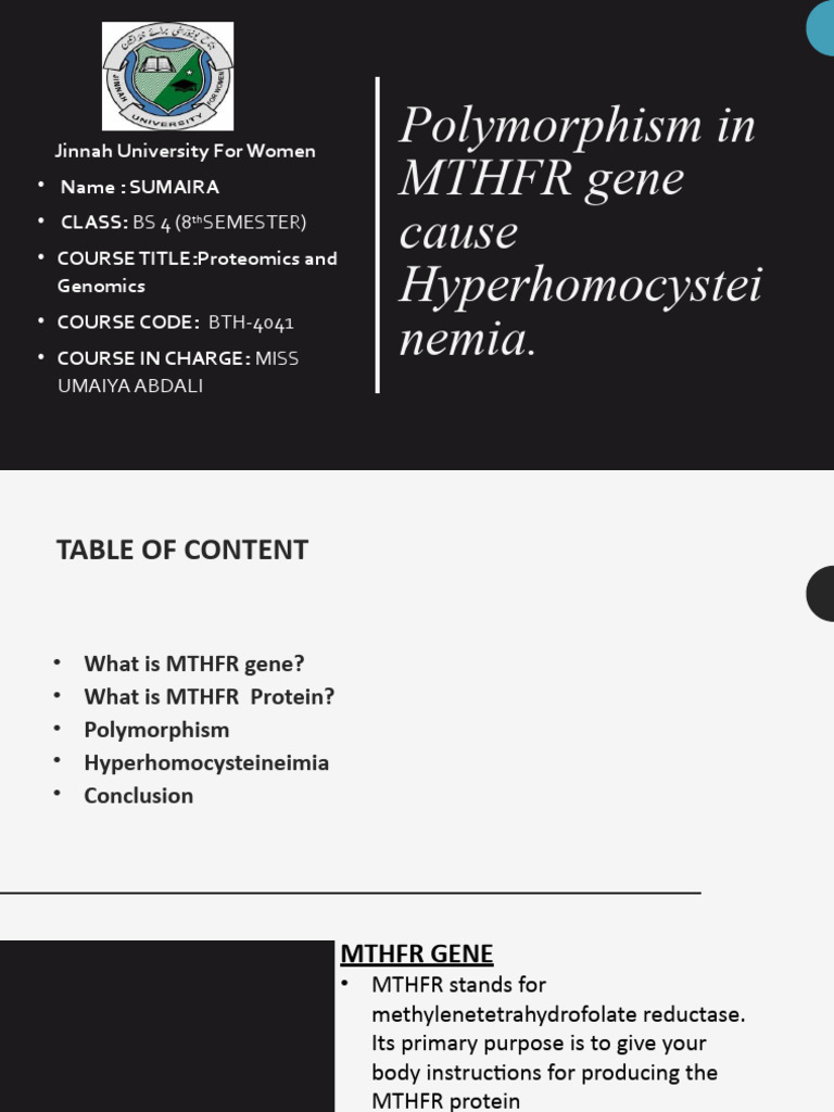 MTHFR Presentation | Download Free PDF | Gene | Genetics