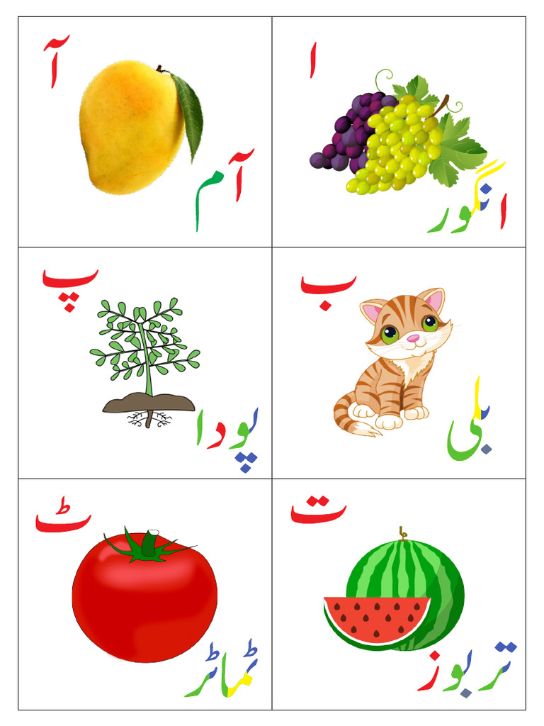 Urdu Flash Cards Alphabets | PDF