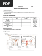 Male and Female Reproductive Systems Worksheet | PDF
