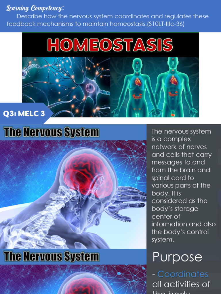 Science10 Q3 Module3 Part-1 | PDF