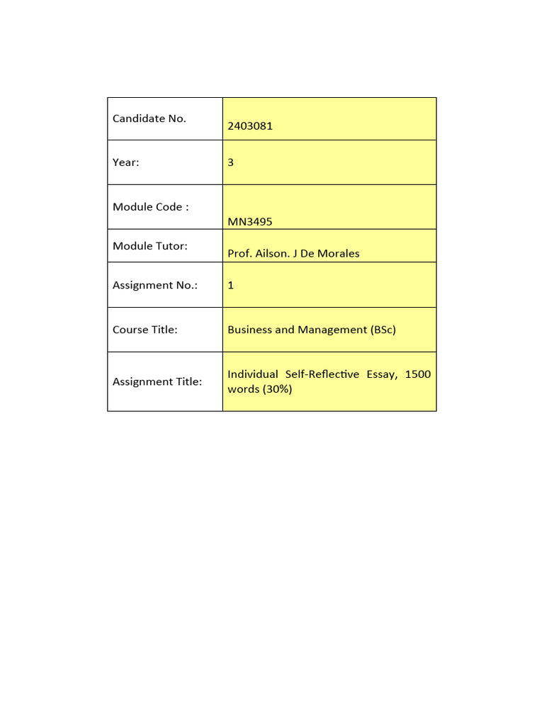 30 Individual Self Reflective Essay Pdf Leadership Entrepreneurship