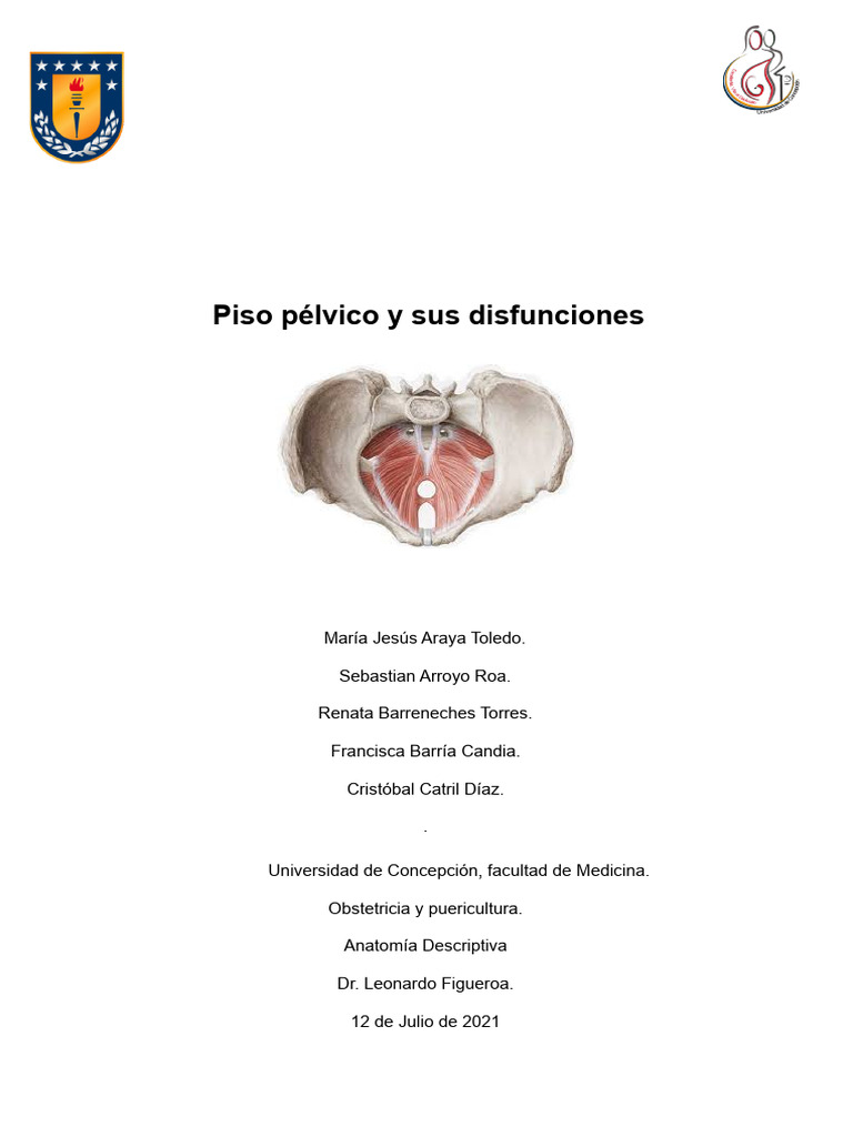Disfunciones del Piso Pélvico y Ejercicio | PDF | Parto | Terapia física