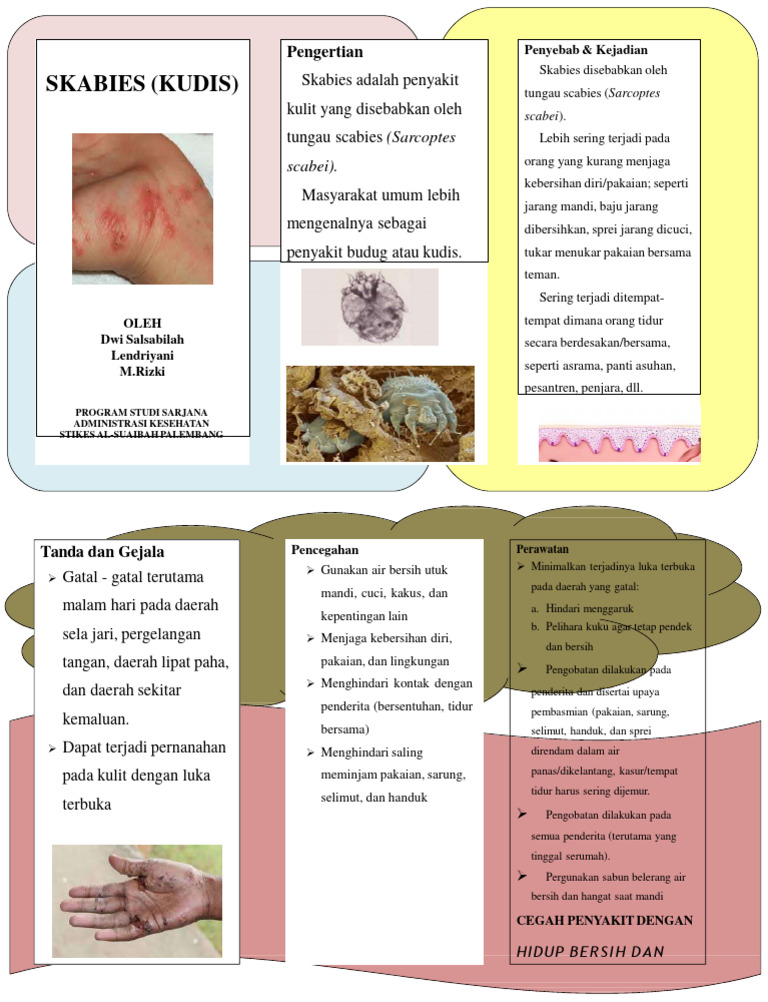 Brosur Skabies | PDF