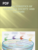 Cultural Erasure Retention and Renewal | PDF | Culture (General)