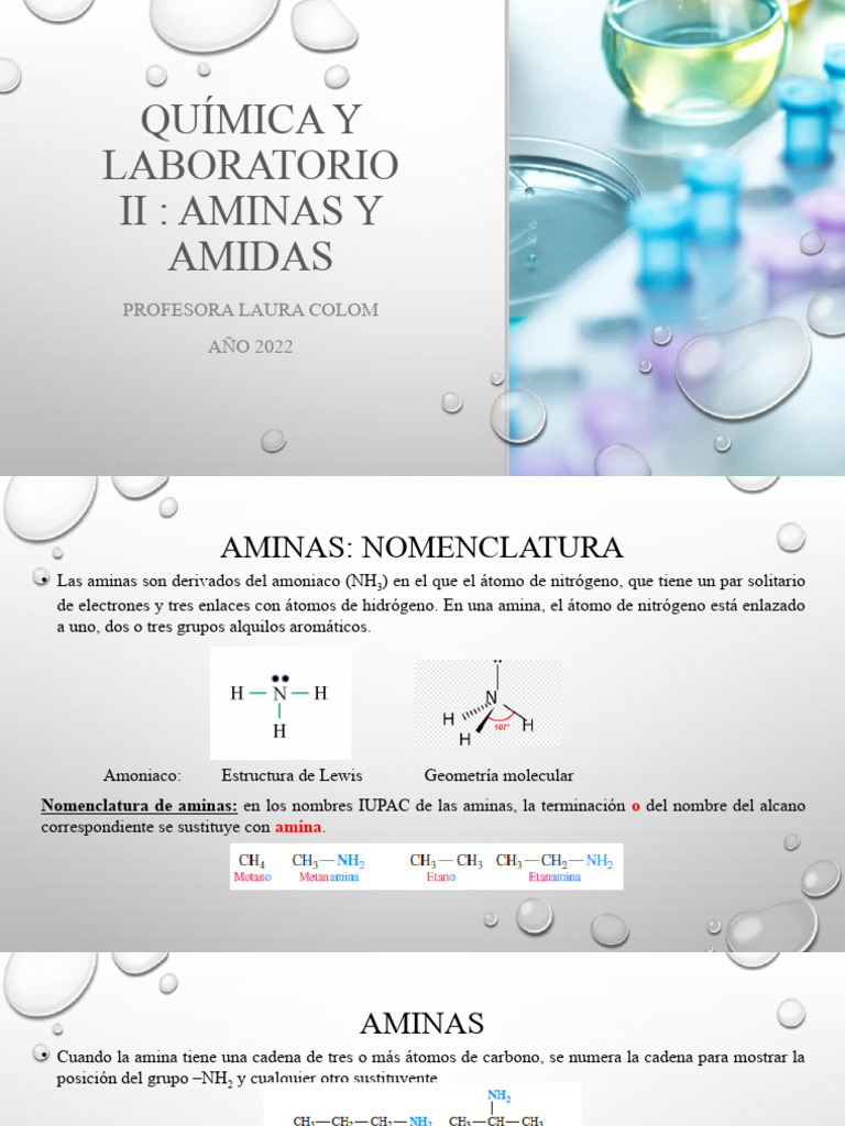 Aminas y Amidas 2022 | PDF | Amina | Amida