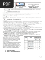 Cour Et Bilan Ppse Et Ppsi Sommation Temporelle Et Spatial | PDF ...
