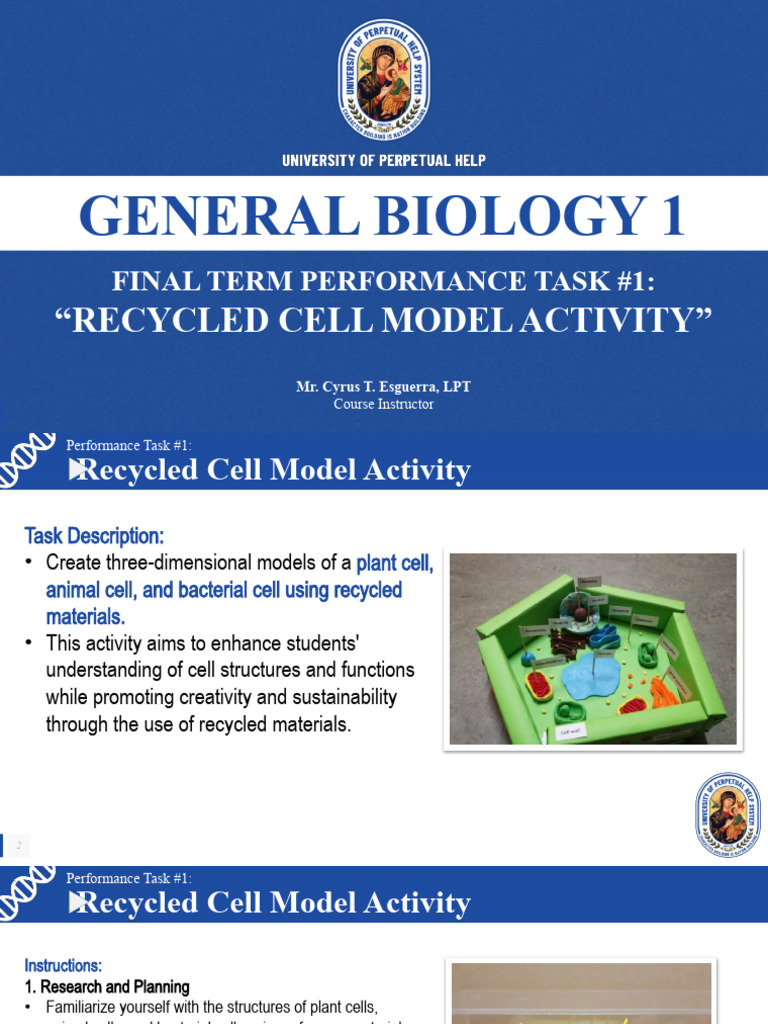 Final Term Peta #1 - Cell Model | PDF | Cell (Biology) | Rubric (Academic)
