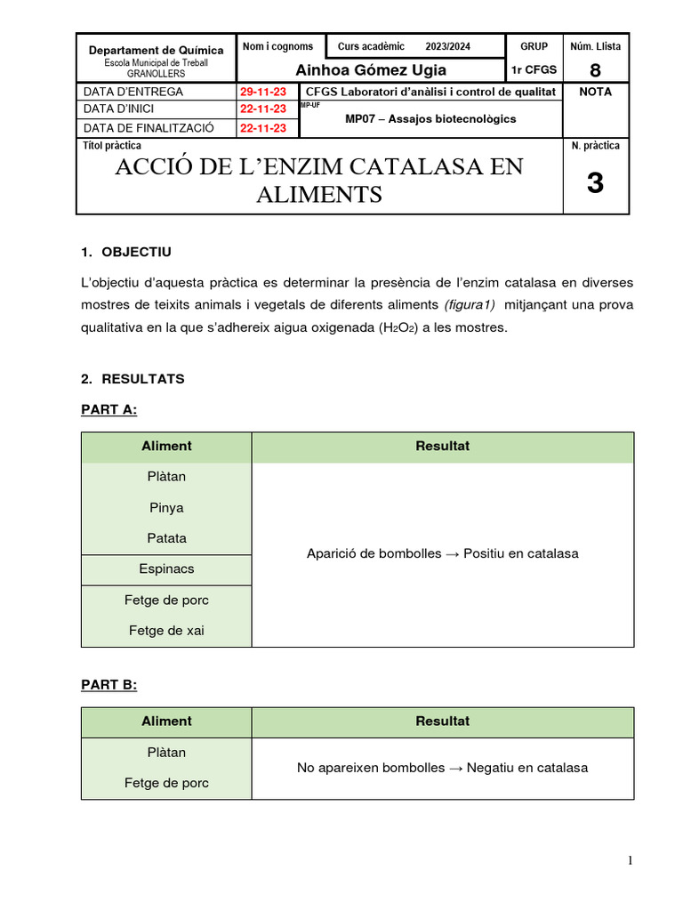 Informe Pràctica 3 Pdf