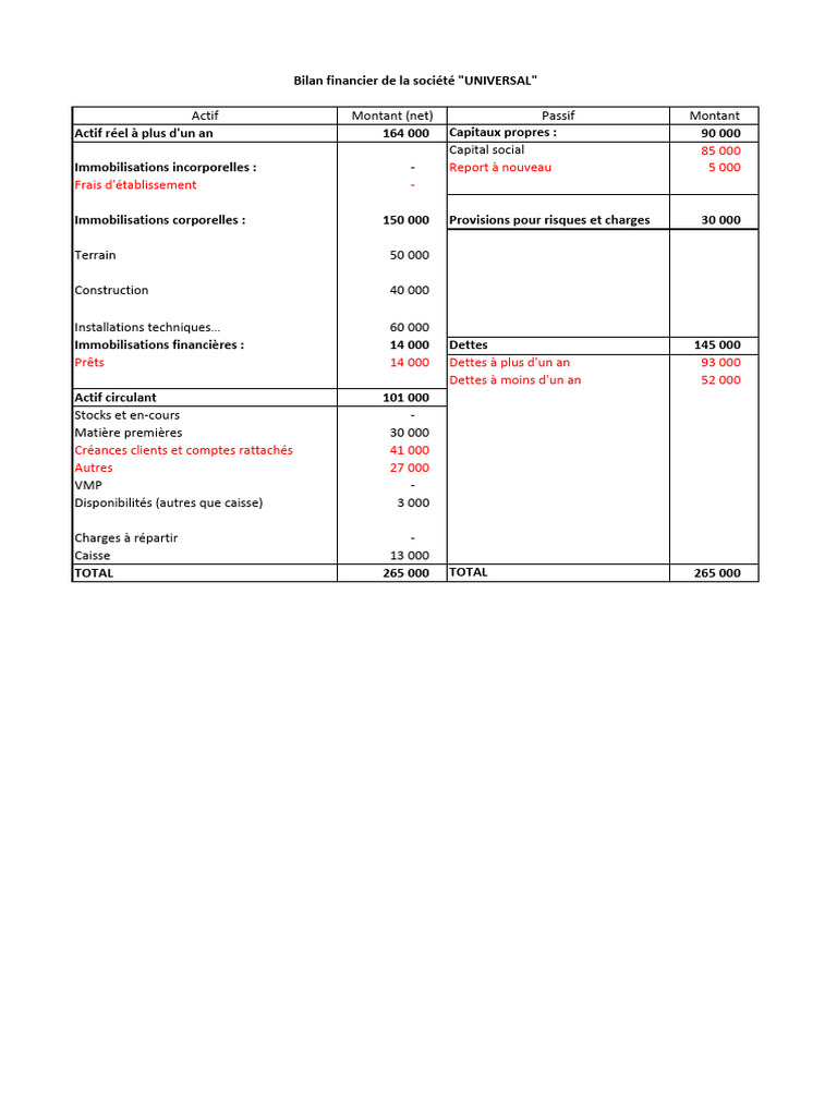 Bilan financier de la société UNIVERSAL | PDF