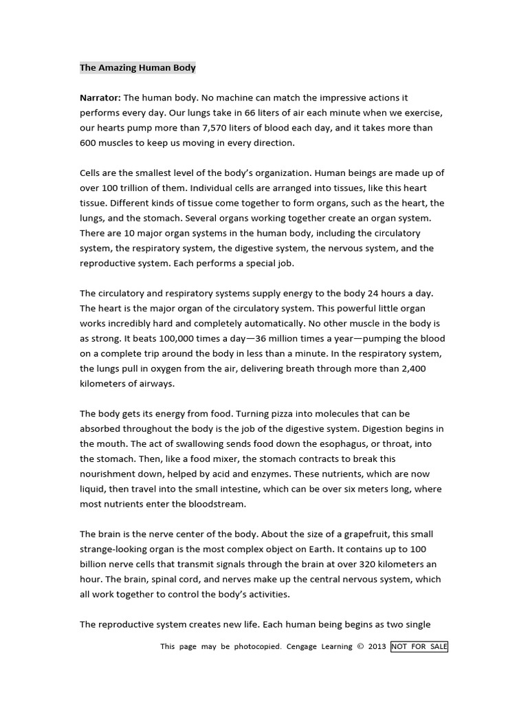 20 The Amazing Human Body | PDF