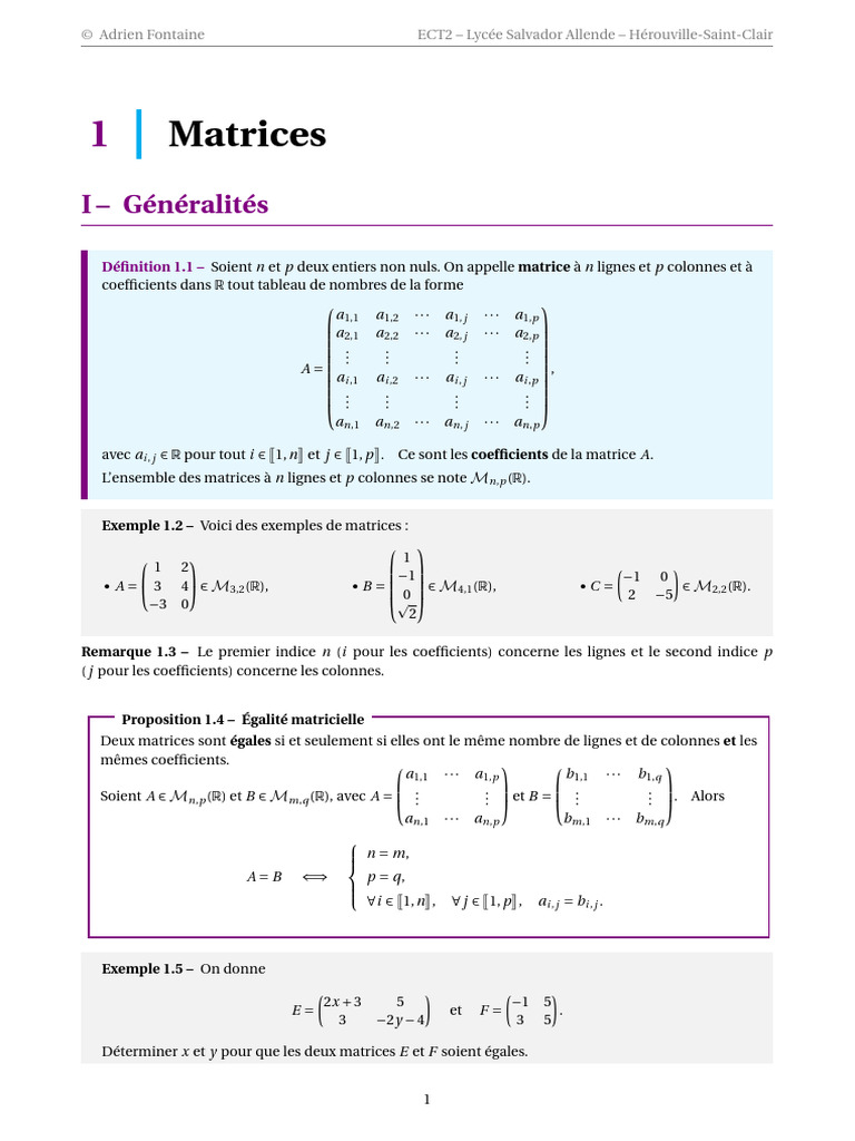Cours Matrices | PDF