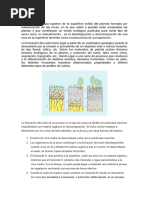 Características del Suelo Gleysol | PDF