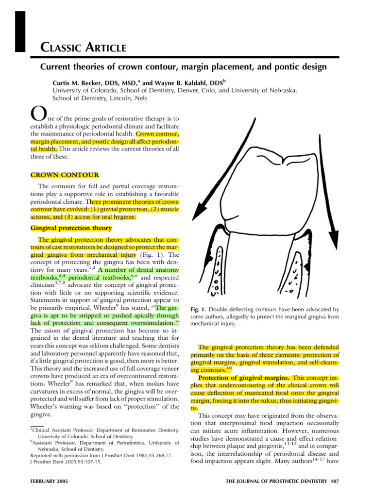 Crown Contour and Periodontal Health | PDF | Human Tooth | Physiognomy