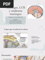 Signos Meníngeos | PDF