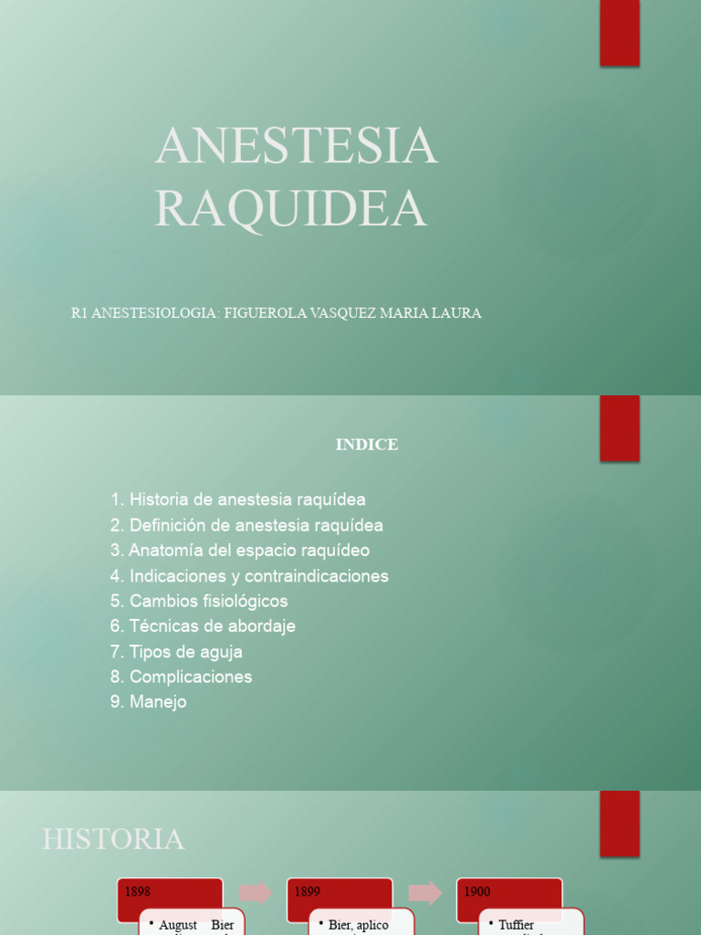 Anestesia Raquidea MLFV | PDF | Anatomía humana | Medicina