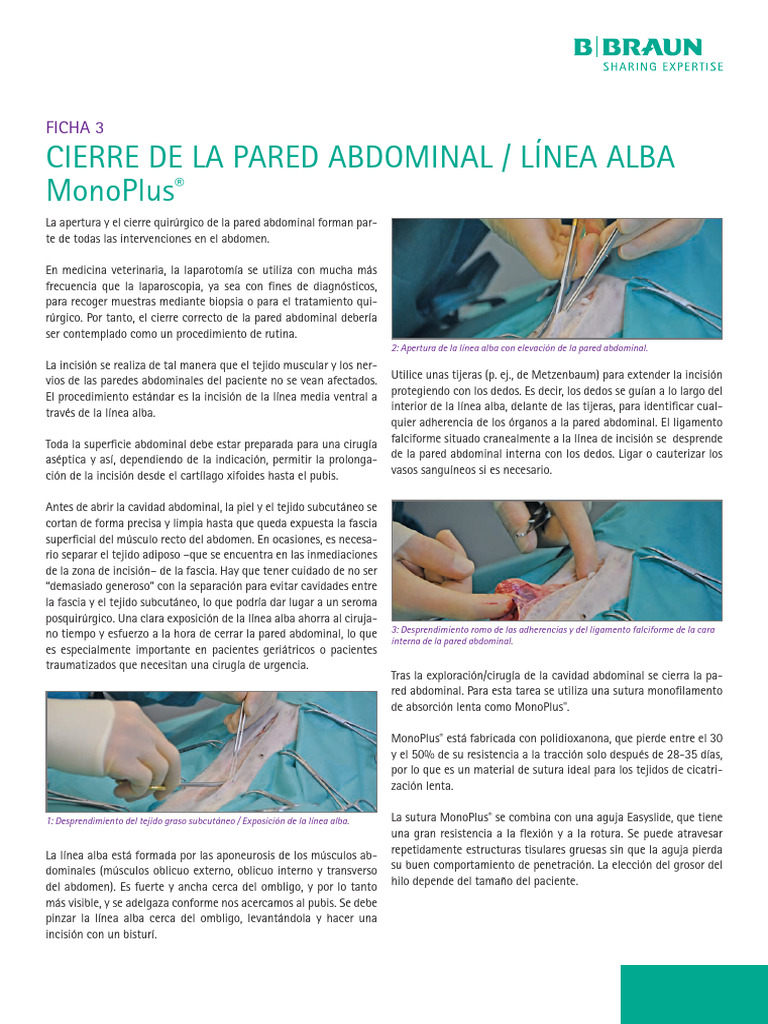 Suturas - Ficha3 - ES - v3 MonoPlus | PDF
