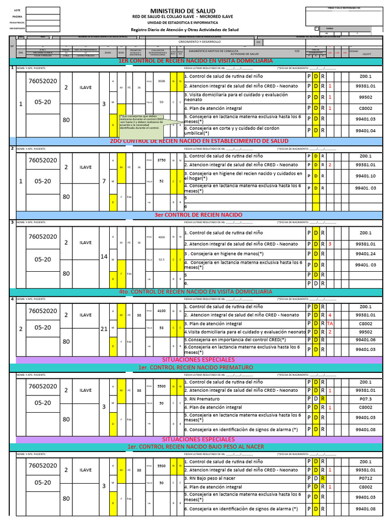 Modelos de Llenado His Actual | PDF | Infantes | Cuidado de la salud