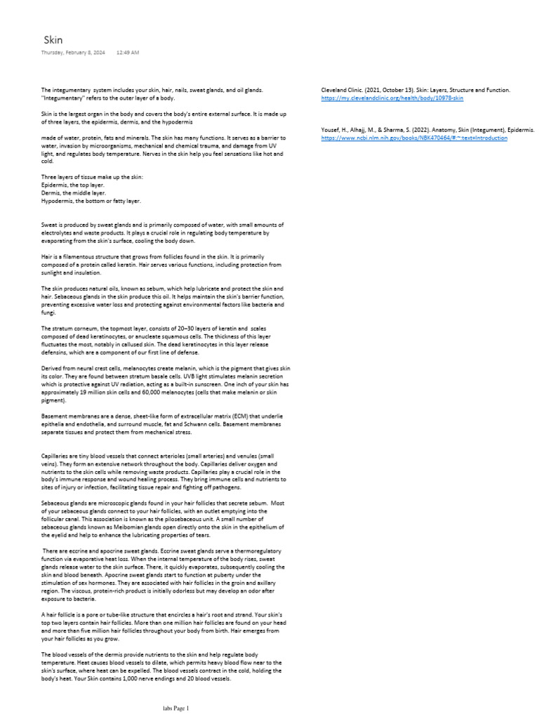 Skin | PDF | Skin | Integumentary System