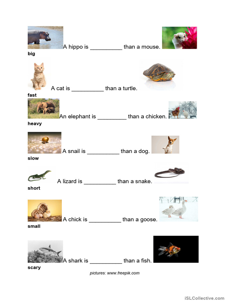 Comparative Adjectives + Animals | PDF