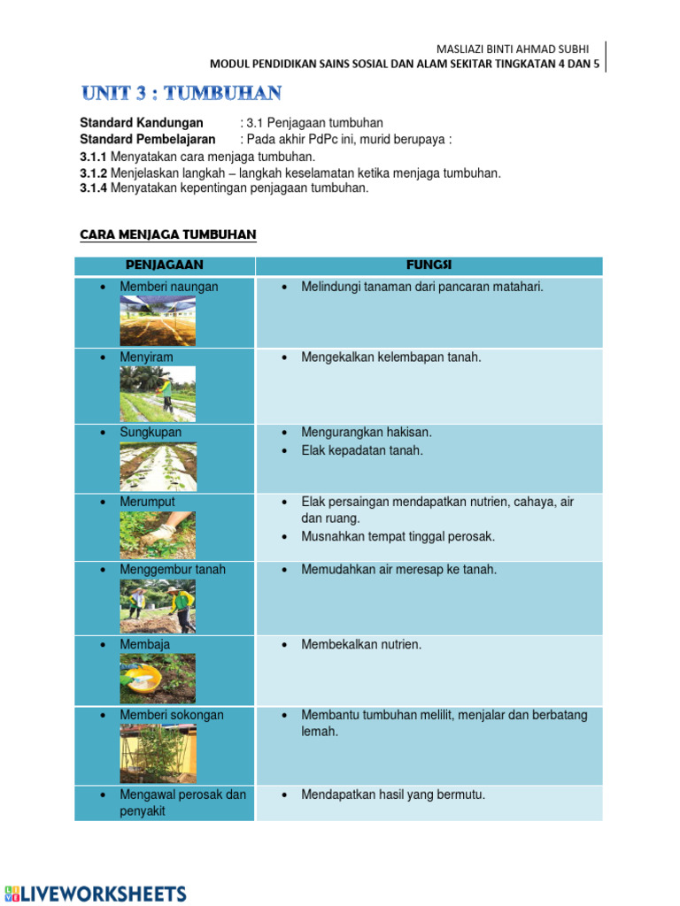 Latihan Tumbuhan PSSAS T4 | PDF | Griya & Taman | Sains & Matematika