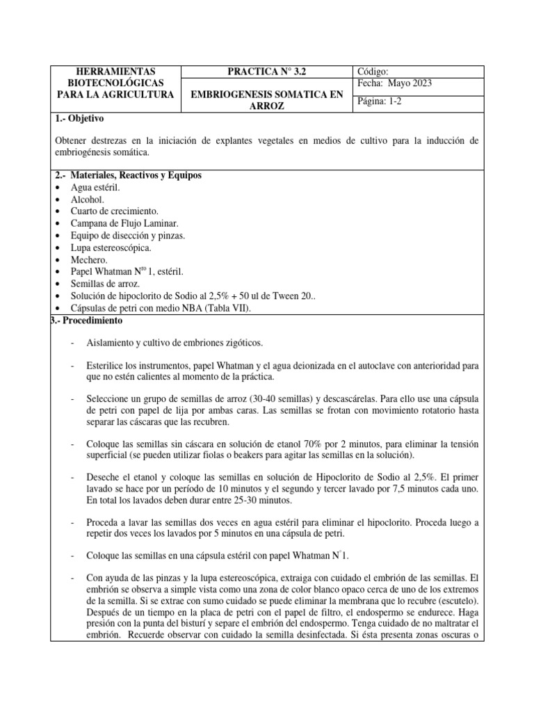 Practica 3.2 (Arroz) | PDF