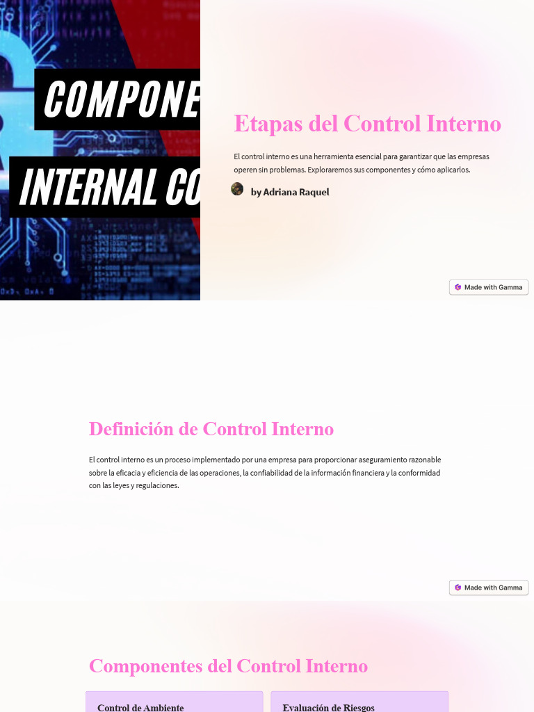 Etapas-del-Control-Interno | PDF | Business | Ingeniería de confiabilidad