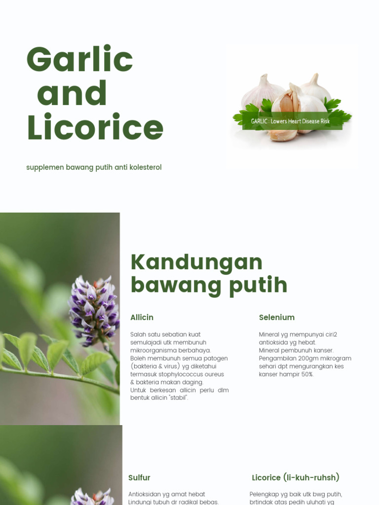 Garlic and Licorice | PDF