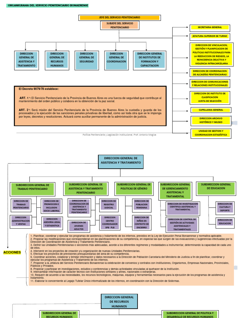 Organigrama SPB | PDF