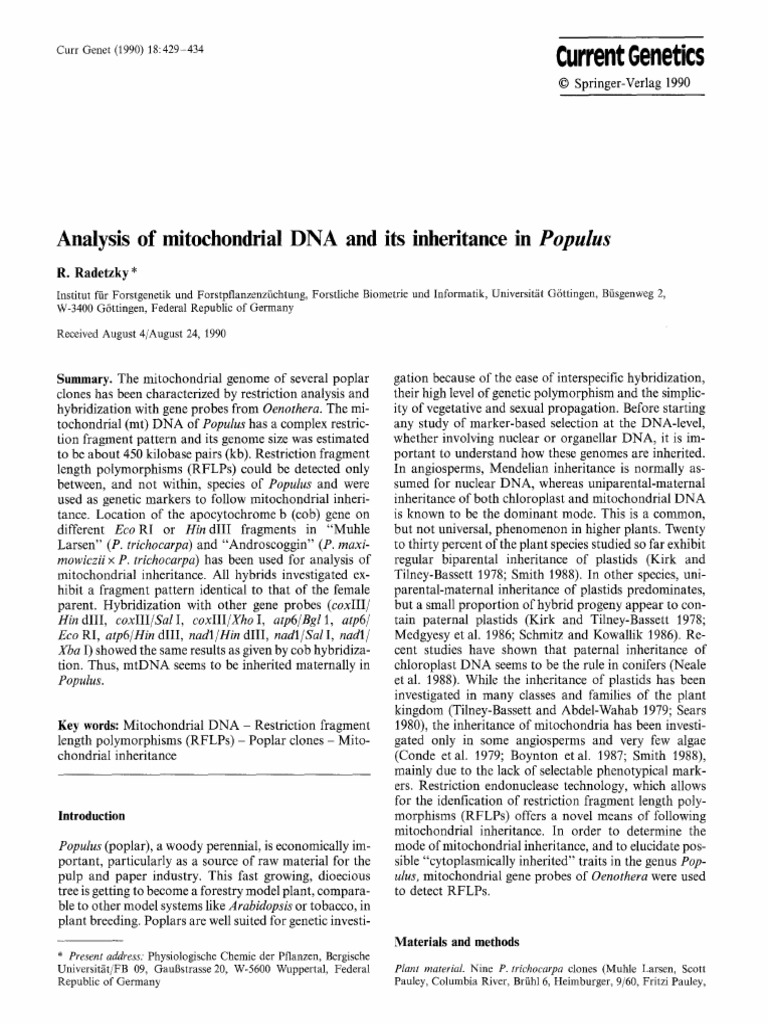 Radetzky 1990 | PDF | Mitochondrial Dna | Gel Electrophoresis