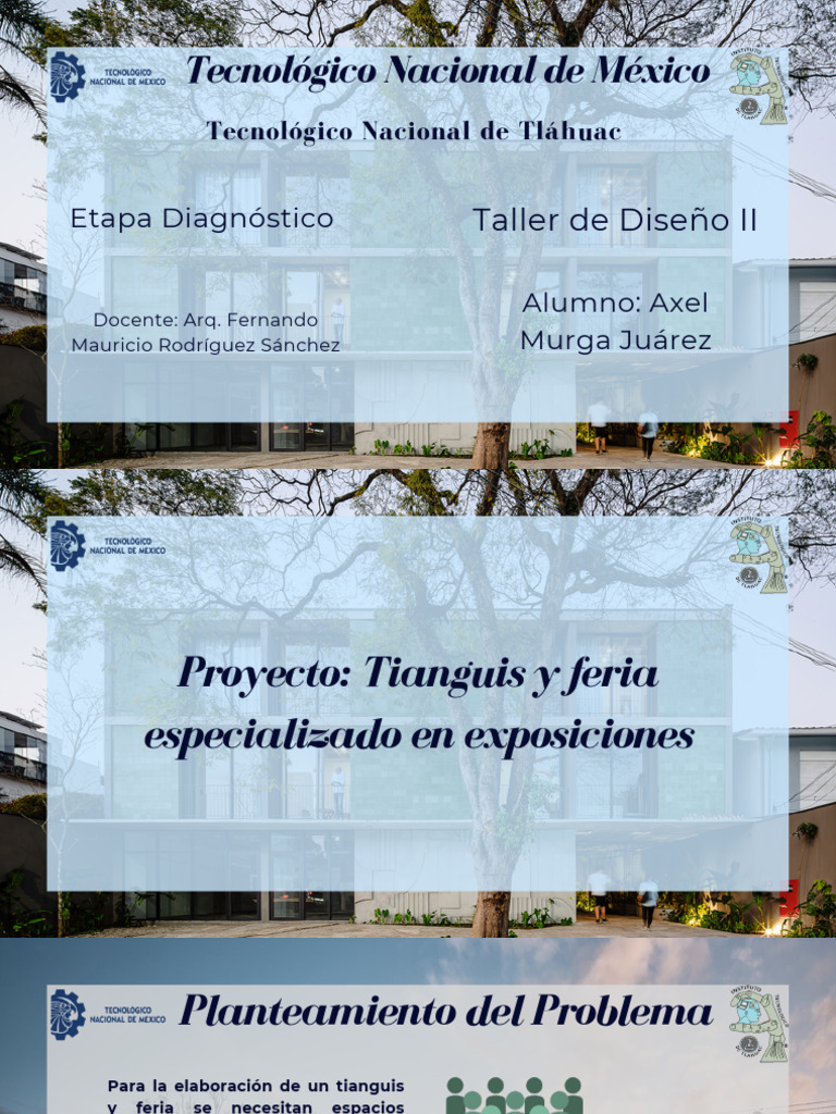 Lámina Y Presentación Etapa Diagnóstico Pdf