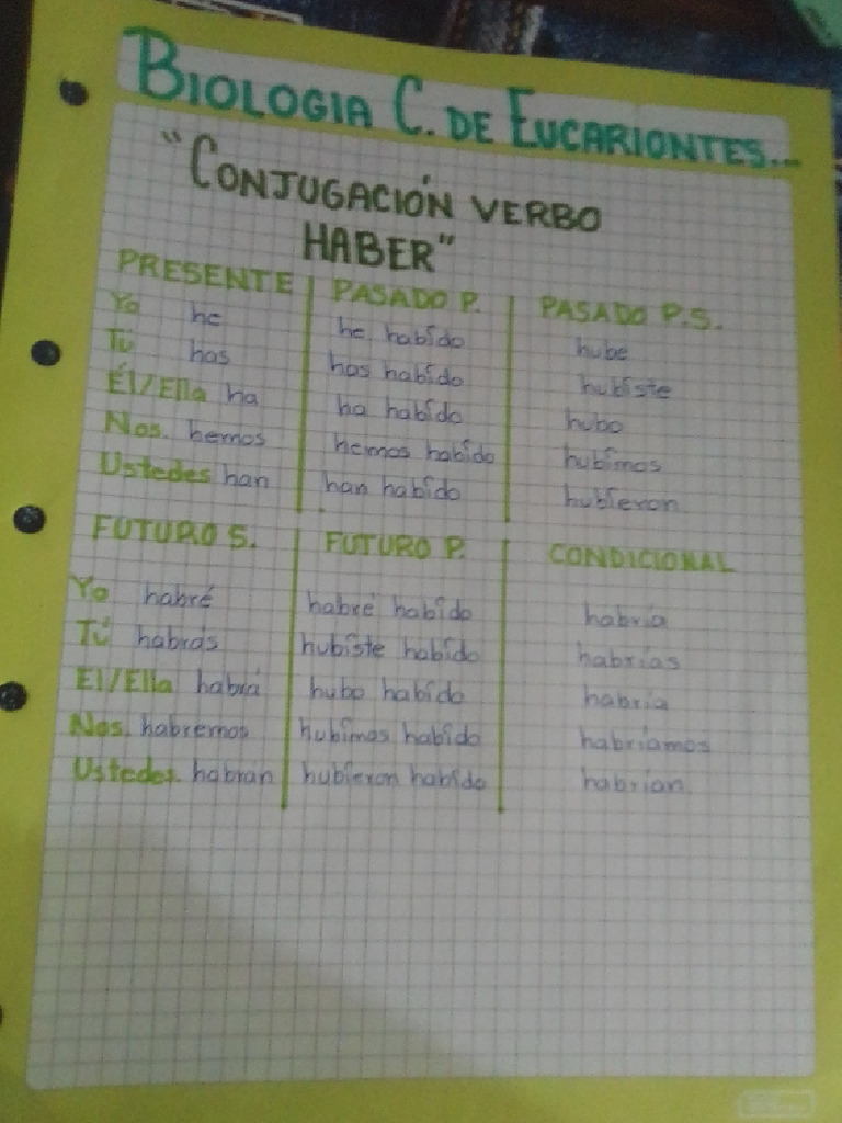 Conjugación Verbal Haber | PDF